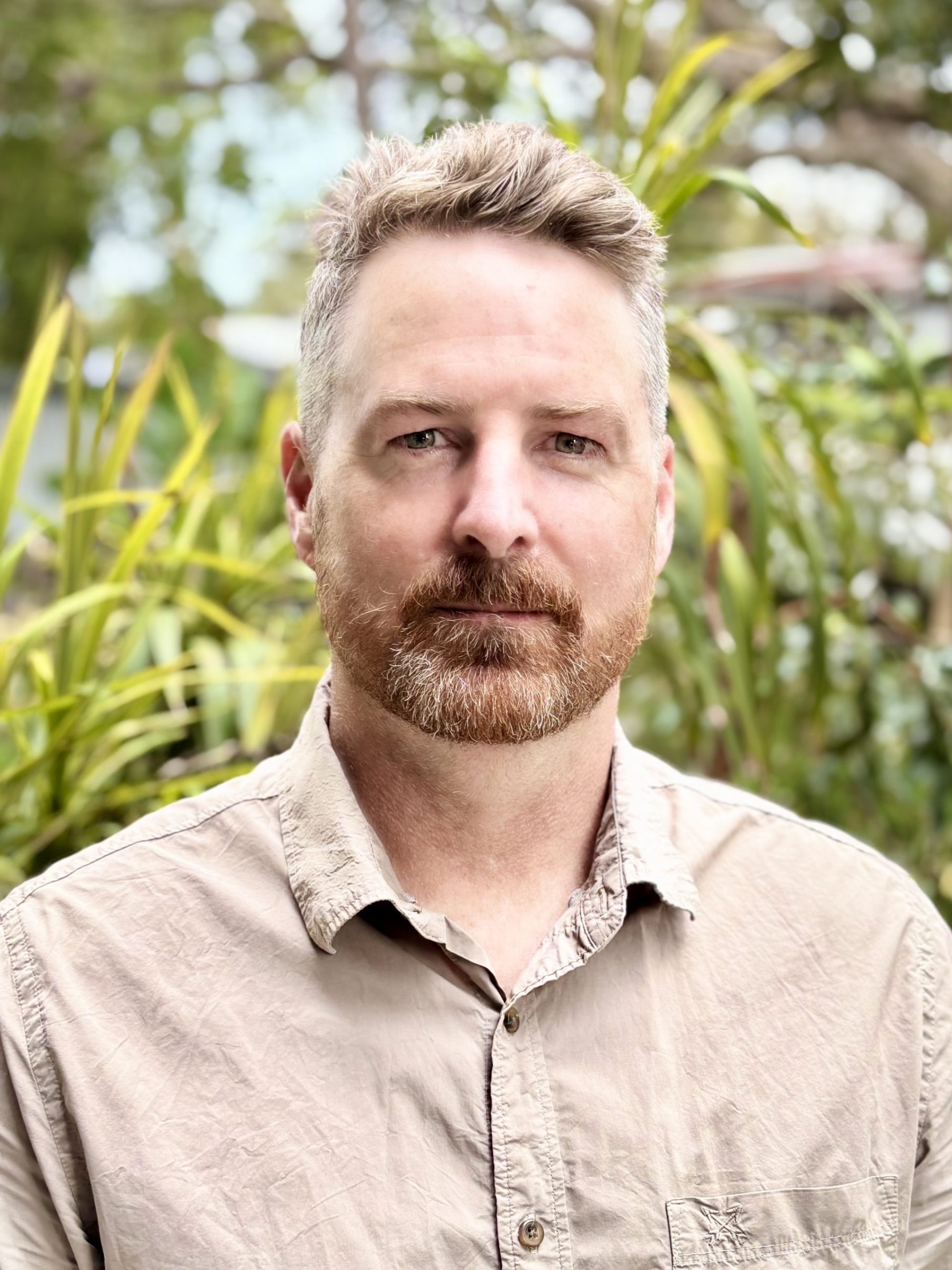 Dean Kearney appointed Chief Executive Officer - Sustainable Timber ...